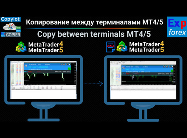 Exp COPYLOT CLIENT/MASTER for MT4 V25.501+MT5 V19.948 UNLIMITED – Forexprism